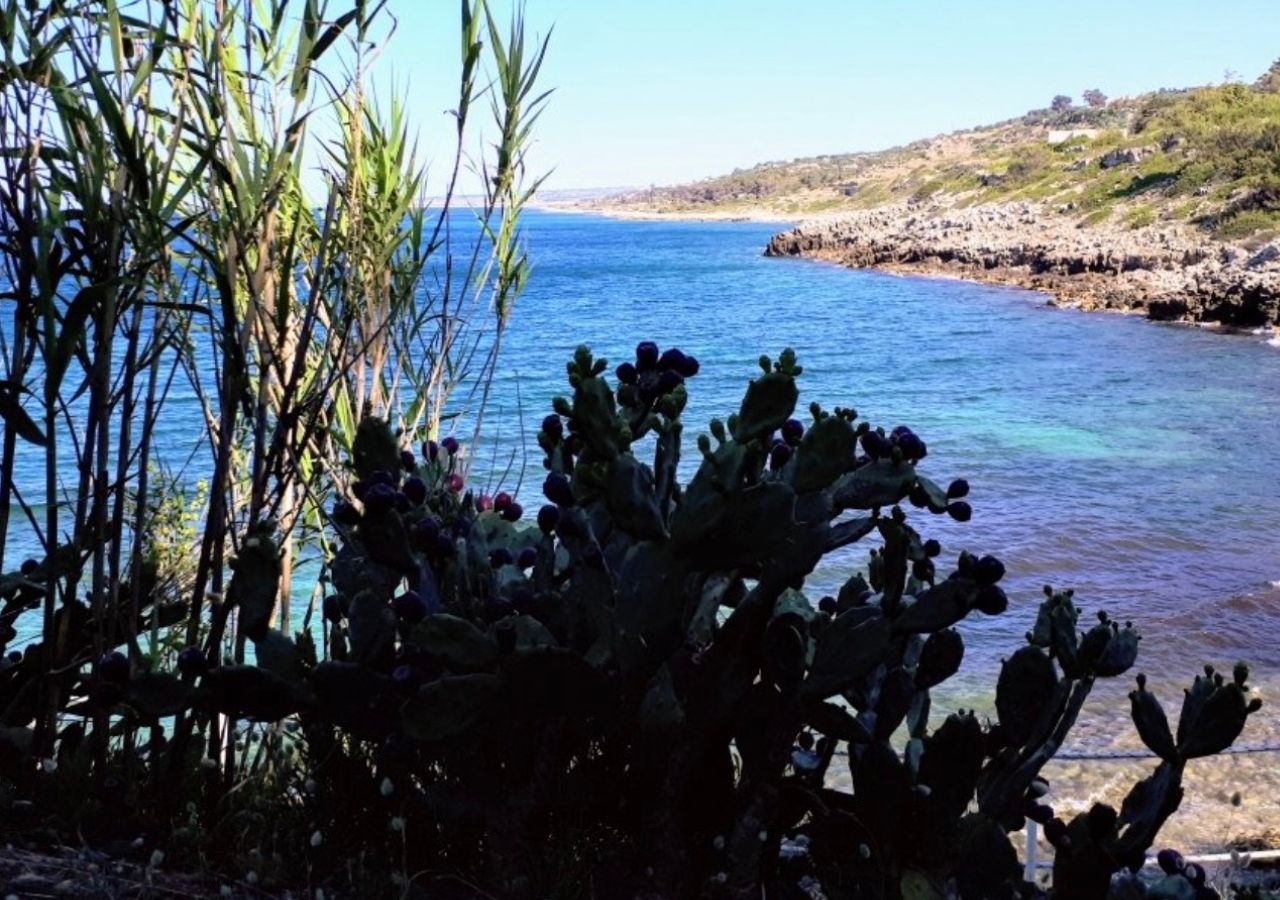 Le più belle spiagge di Santa Maria di Leuca: guida e consigli