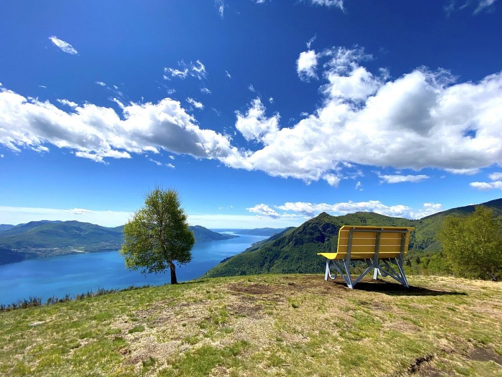 Wonderwood: il parco avventura spettacolare tra i boschi con vista sul ...